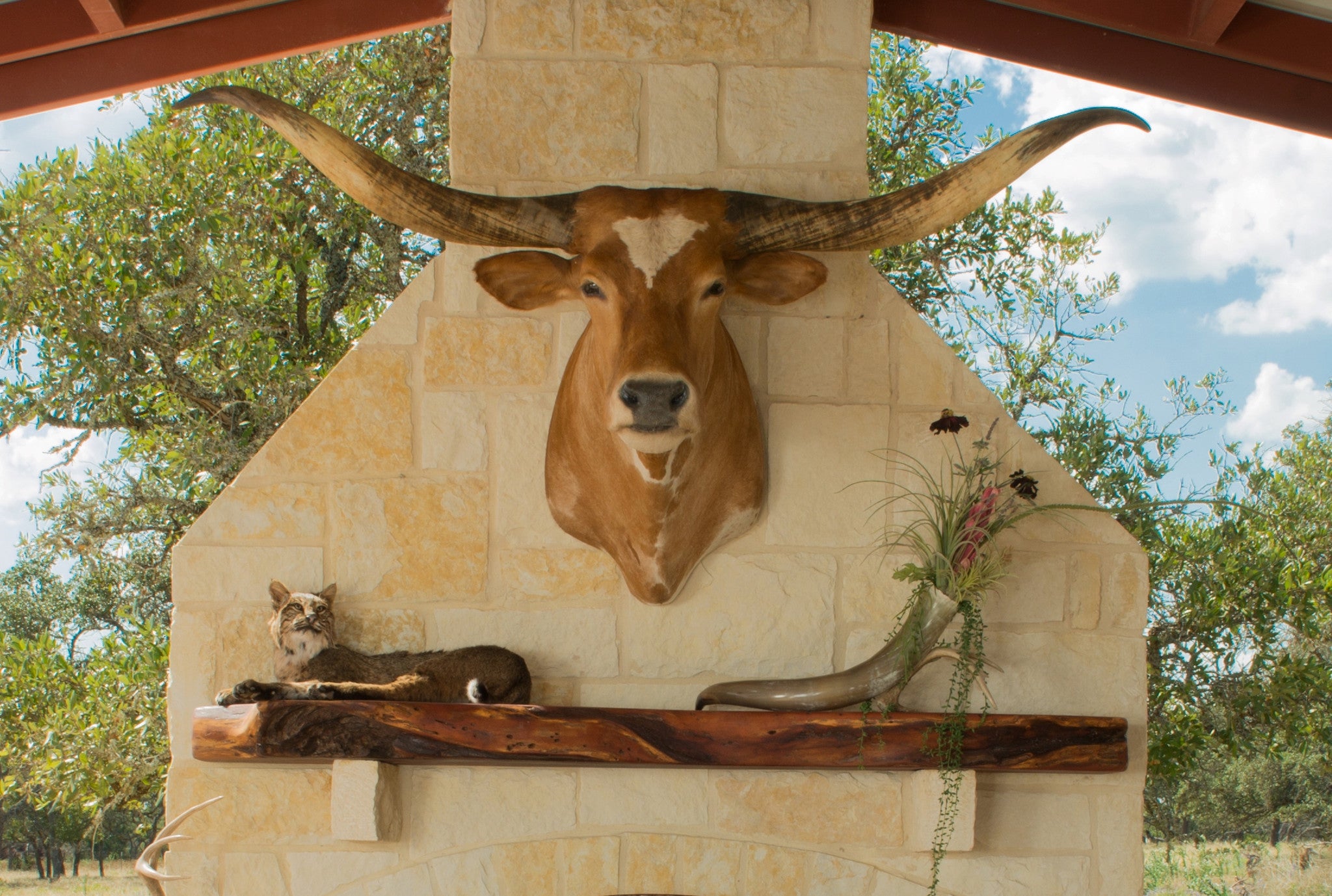 Yee Haw Ranch Outfitters | Fredericksburg | Western Wear | Furniture