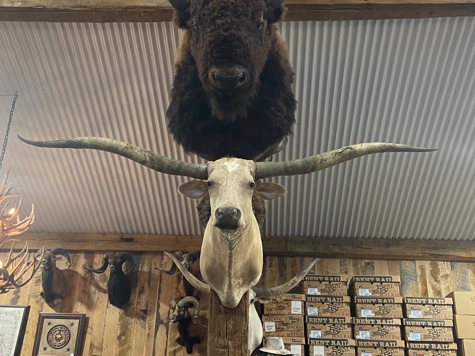 Mounts Critters Taxidermy | Yee Haw Ranch Outfitters | Fredericksburg