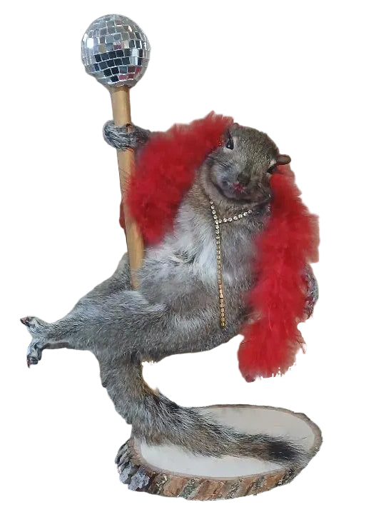 SCARLETT THE POLE DANCING SQUIRREL | FREDERICKSBURG – Yee Haw Ranch ...