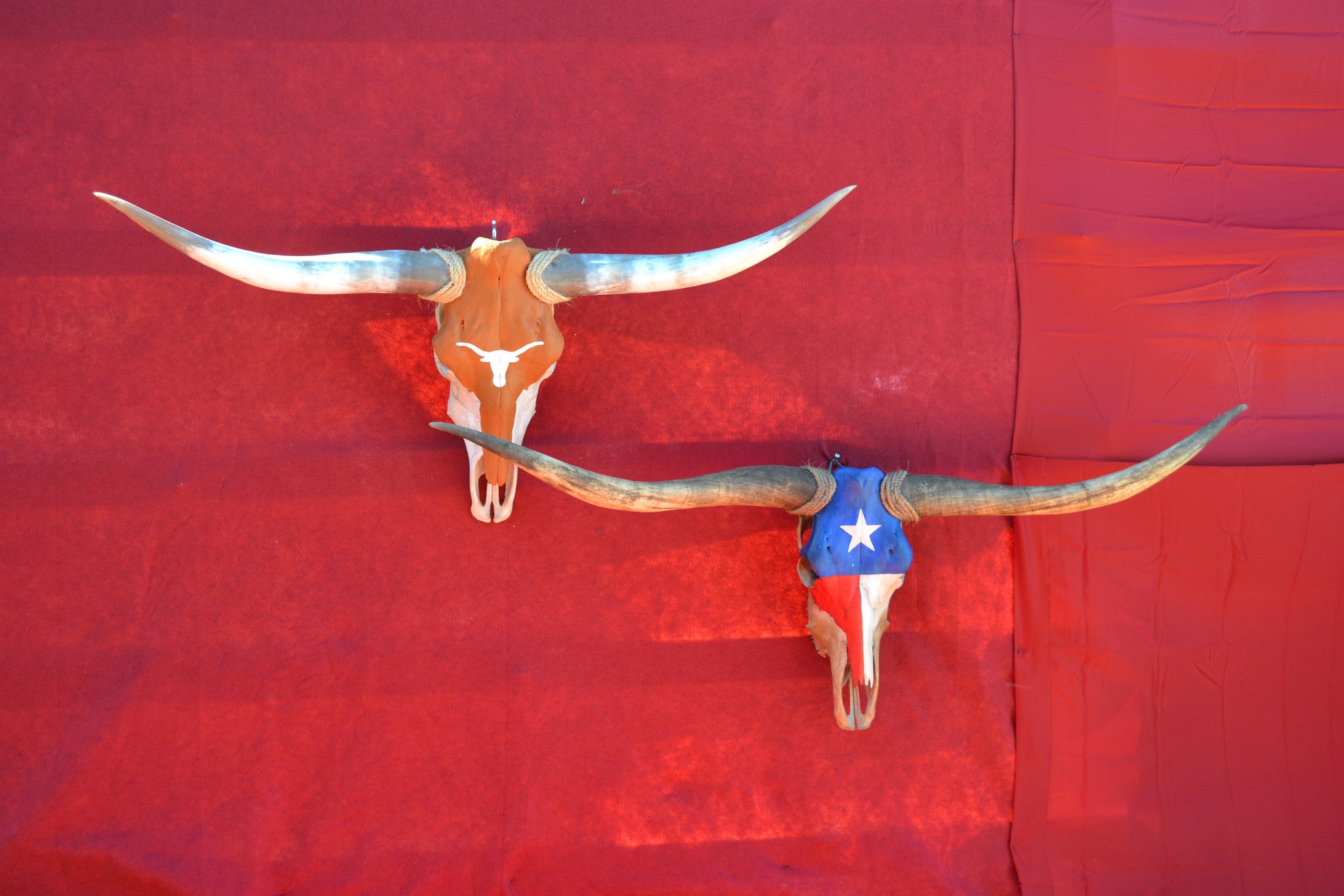 Hand Painted Custom Skulls – Yee Haw Ranch Outfitters