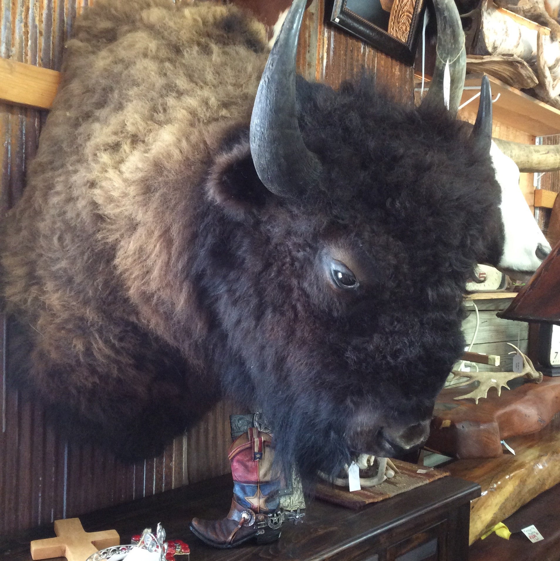 Bison - Buffalo Mount Large / Jumbo – Yee Haw Ranch Outfitters